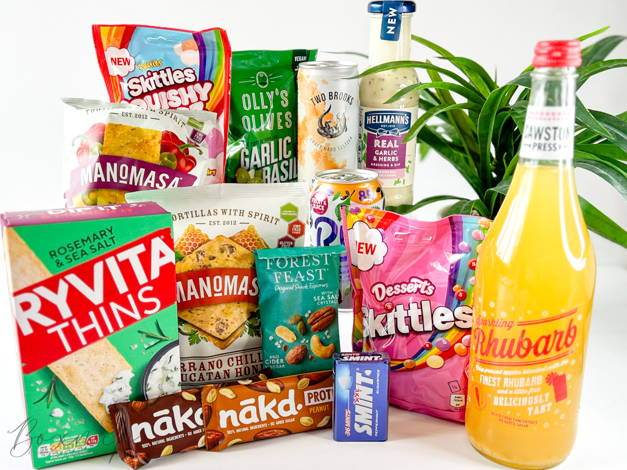 Degusta Box June 2023 - Delicious Picnic Snacks On the Go - Boxnip